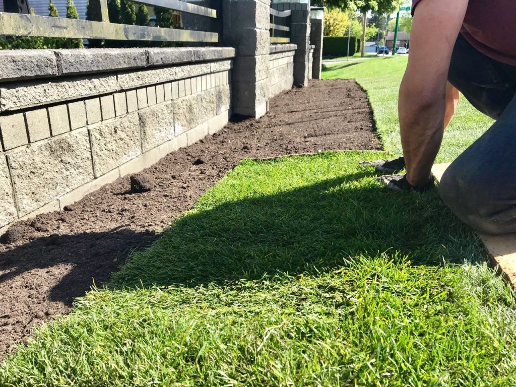 Vancouver Landscape Company Sod Installations | EcoBridge