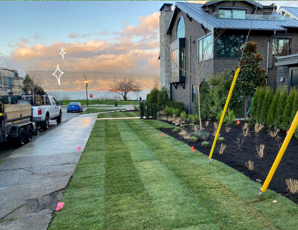 Vancouver Landscape Company Sod Installations | EcoBridge